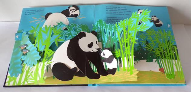 Les Pandas – Pop-Up féerie