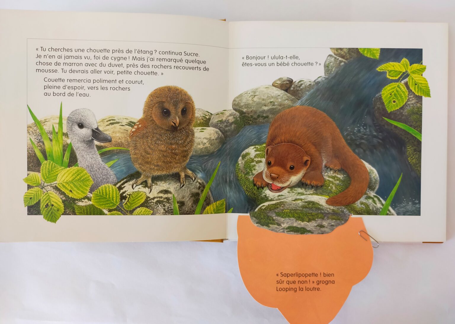 L’aventure de Couette la chouette – Pop-Up féerie