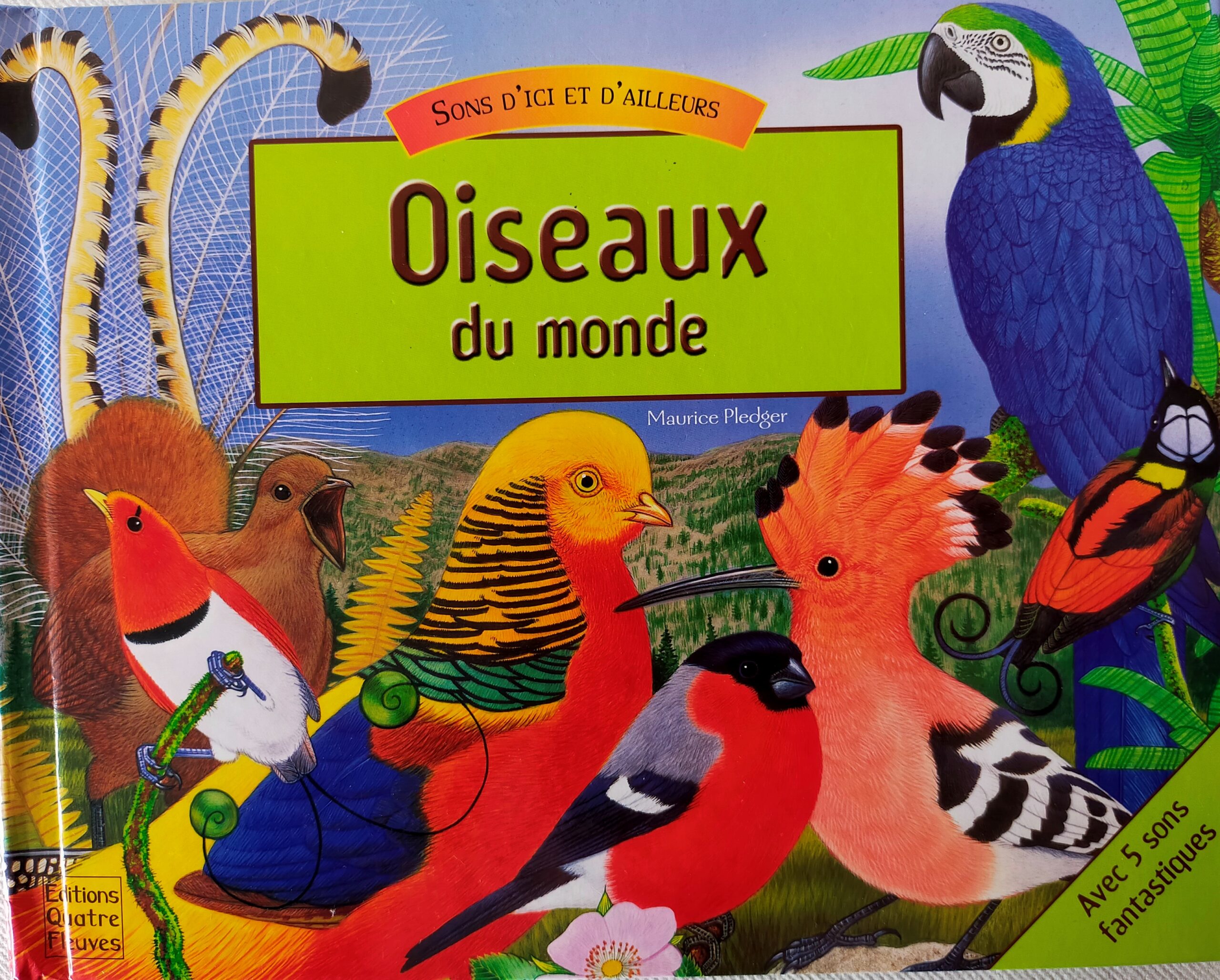 Oiseaux du monde – Pop-Up féerie