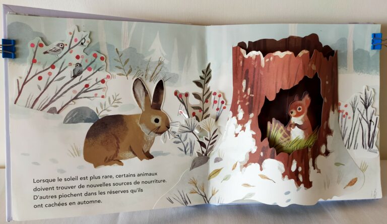 La magie de l’hiver – Pop-Up féerie