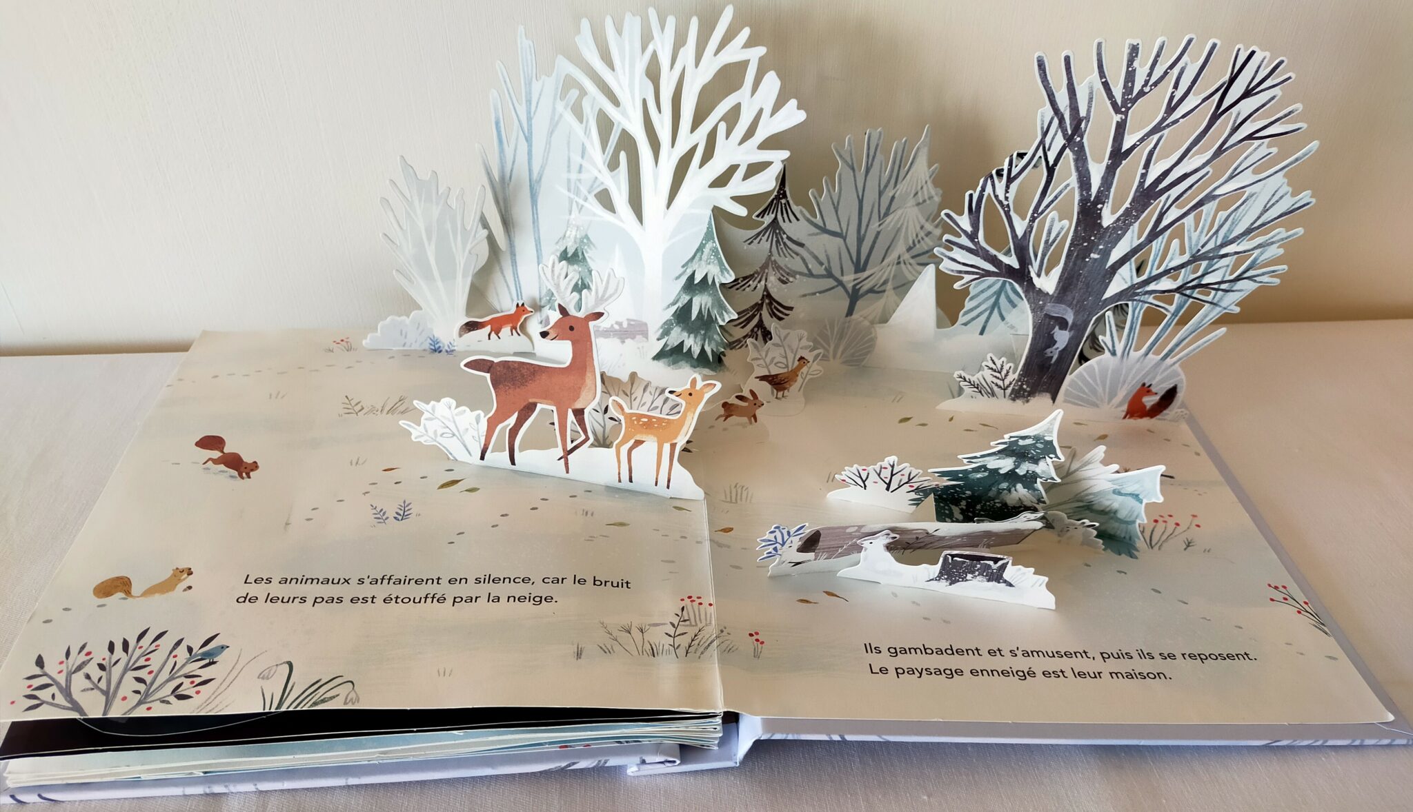 La magie de l’hiver – Pop-Up féerie